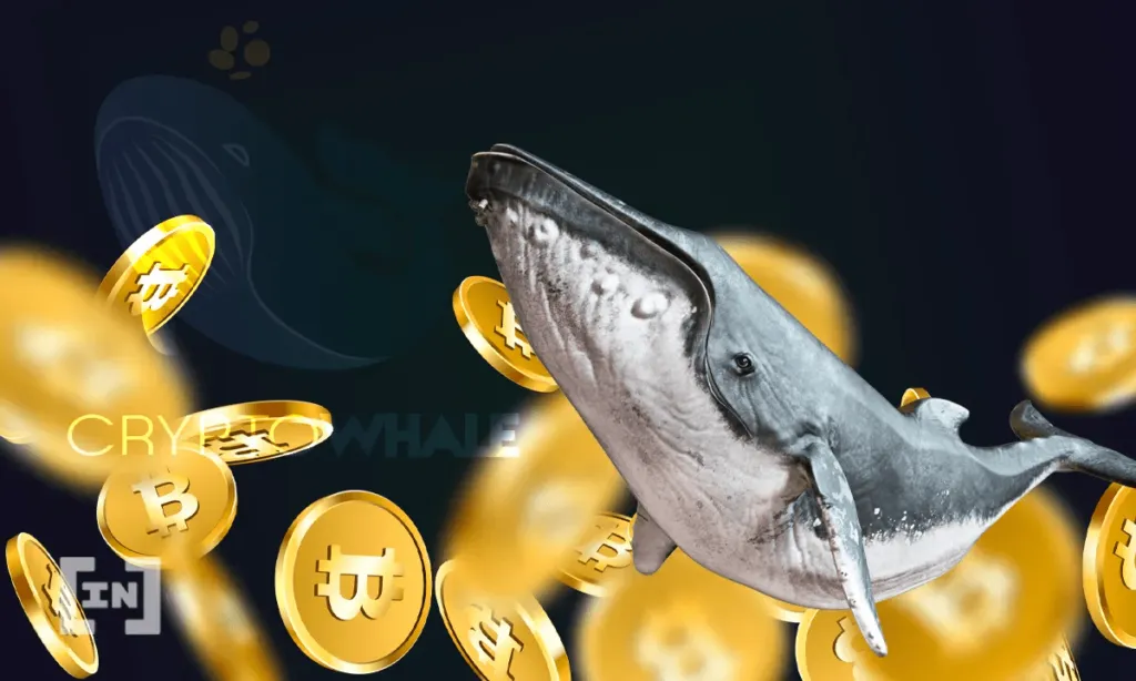 Vous cherchez quoi faire avec Bitcoin ? Les baleines font cela